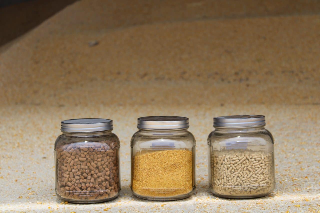 Introduction to Balance4ward Blended Feed Division - BALANCE4WARD